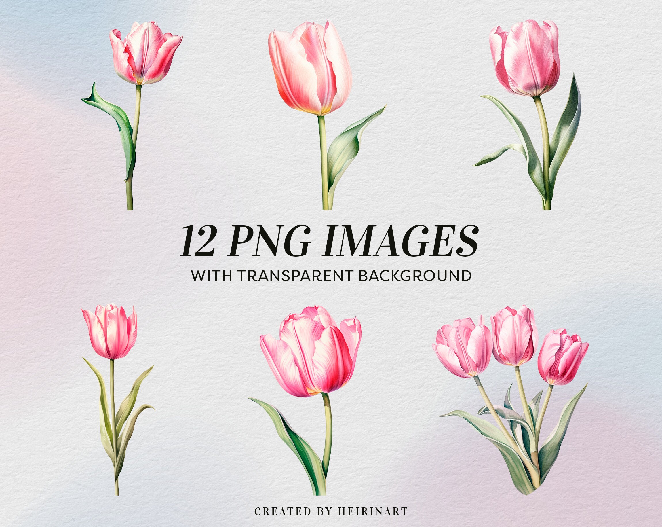 Watercolor Pink Tulip Clipart - Watercolor Flowers - Commercial Use ...