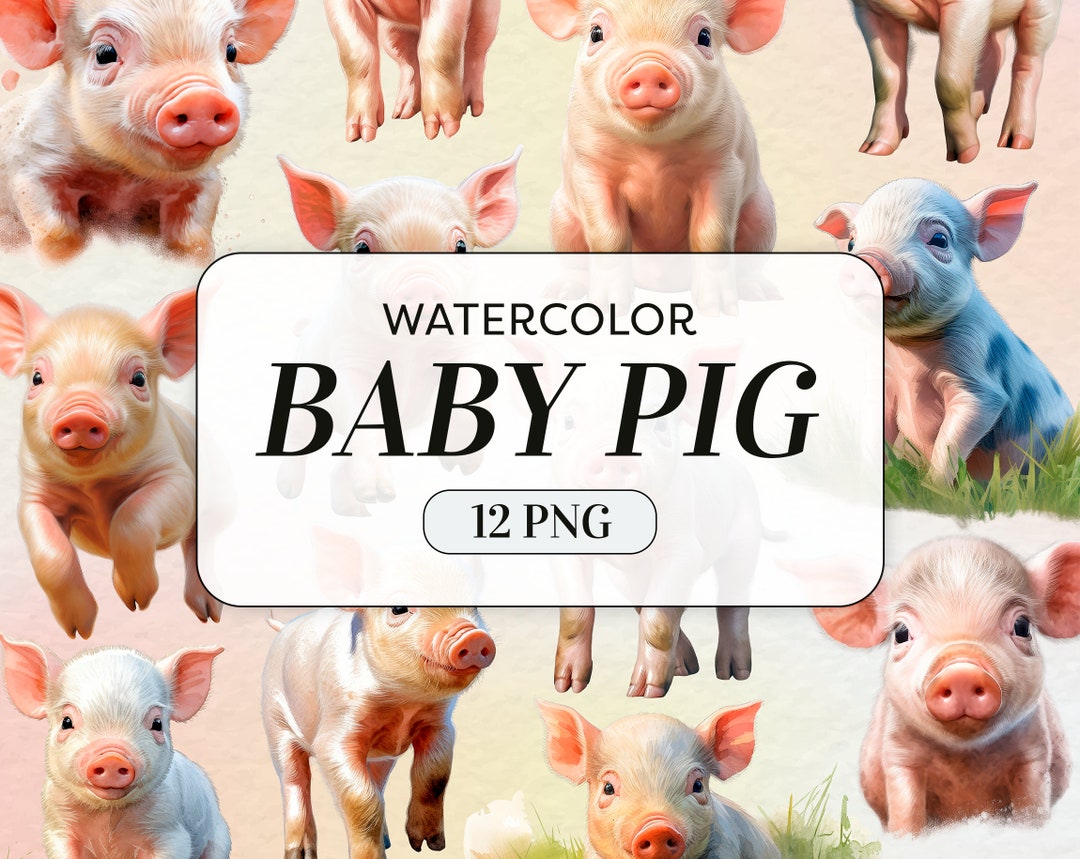 Watercolor Baby Pig Clipart - Cute Piglet PNG - Commercial Use - Baby ...