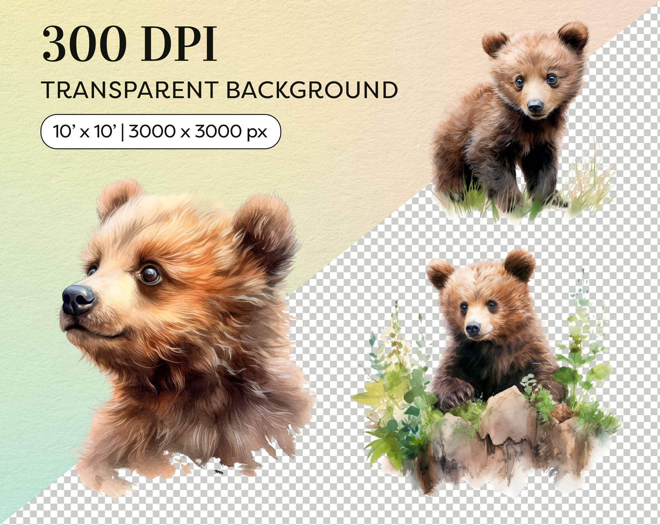 Watercolor Baby Bear Clipart - Cute Bear PNG - Commercial Use - Baby ...