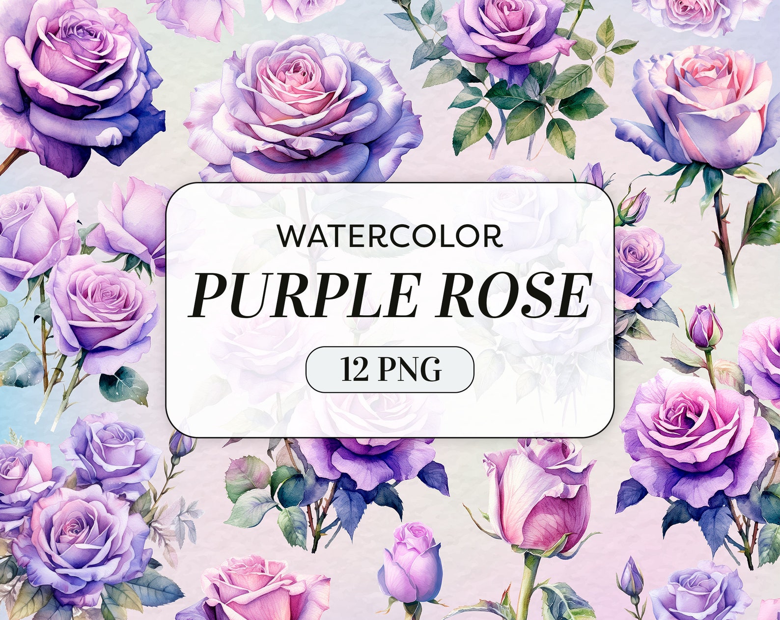 Watercolor Purple Rose Clipart - Watercolor Flowers - Commercial Use ...