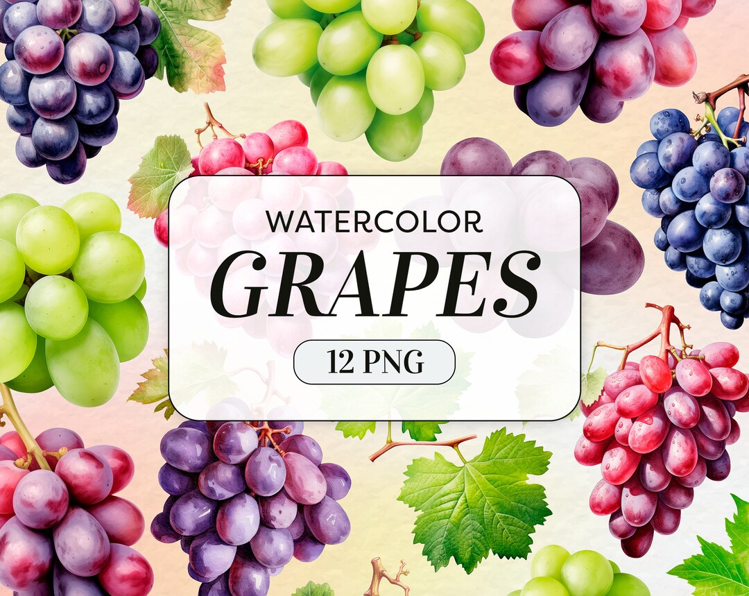 Watercolor Grapes Clipart - Watercolor Fruits PNG - Commercial Use ...