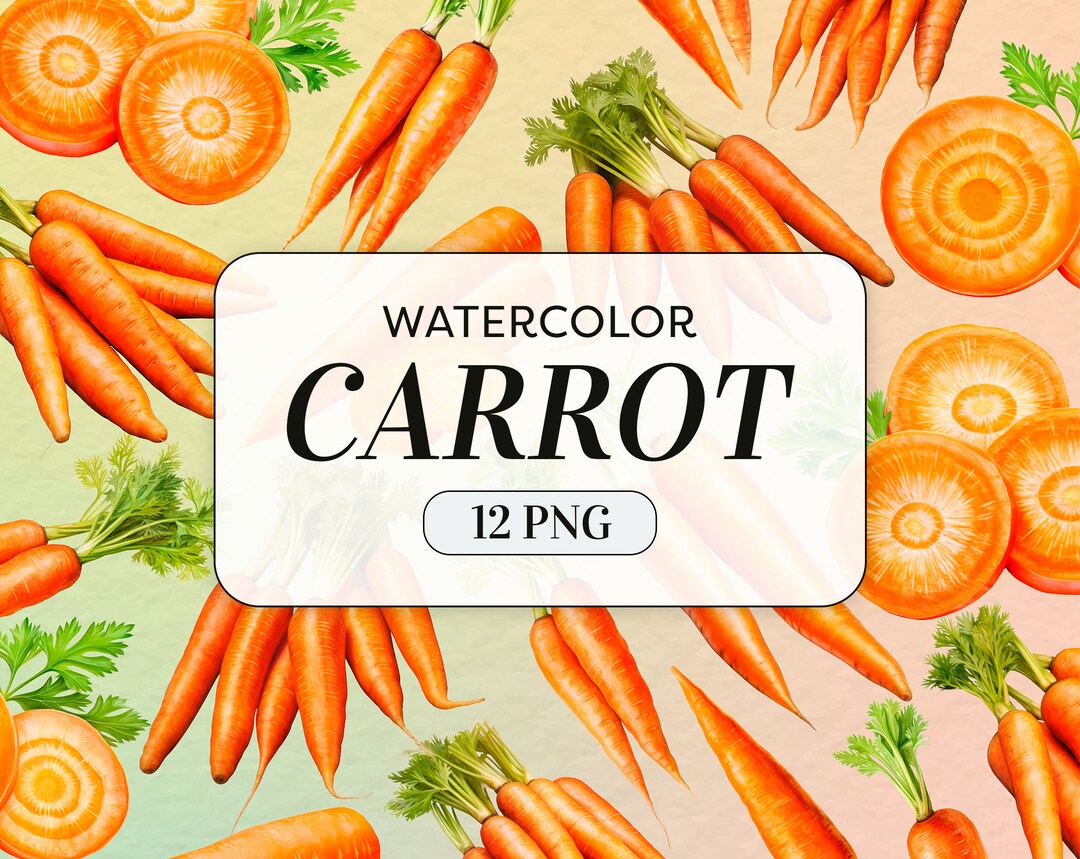 Watercolor Carrot Clipart - Watercolor Vegetables PNG - Commercial Use ...