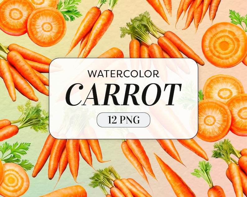 Watercolor Carrot Clipart - Watercolor Vegetables PNG - Commercial Use ...