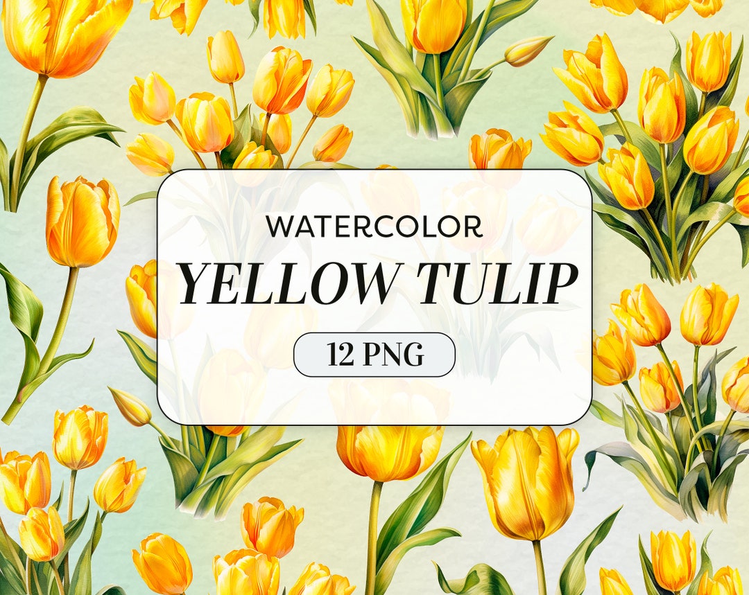 Watercolor Yellow Tulip Clipart - Watercolor Flowers - Commercial Use ...