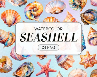 Watercolor Summer Seashell Clipart Seashells in Heart Shape - Etsy