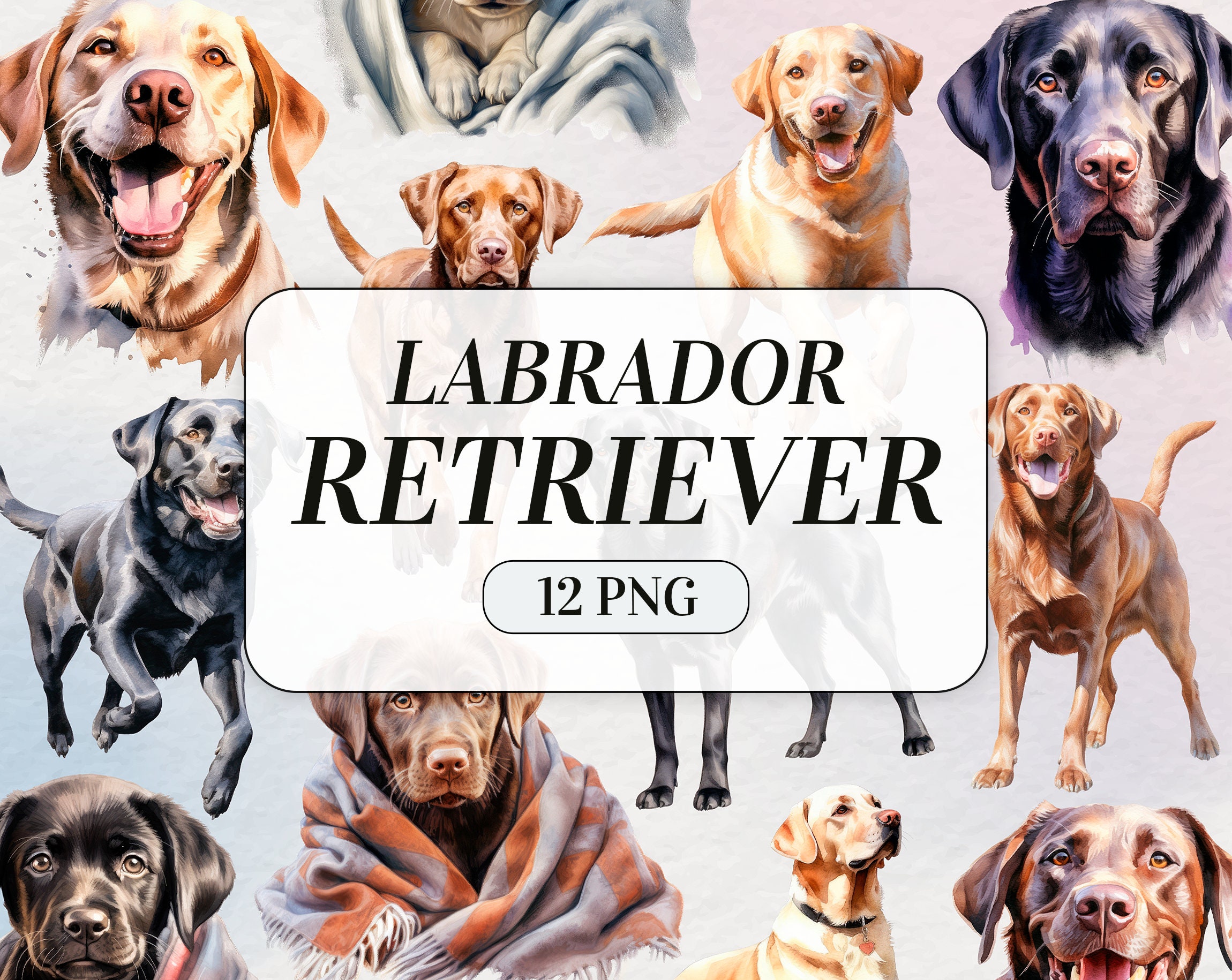 Labrador Retriever Clipart - Pet Dog Portrait - Commercial Use - Cute ...