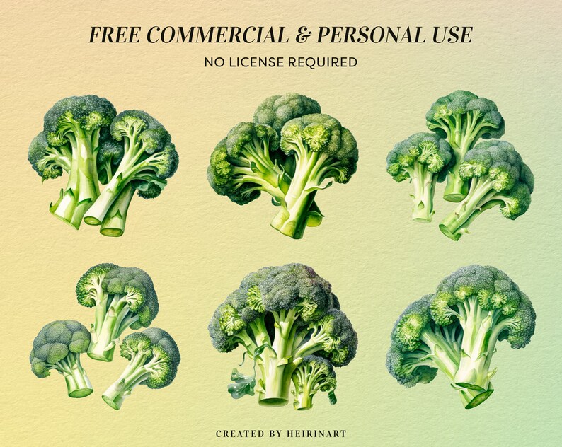 Watercolor Broccoli Clipart - Watercolor Vegetables PNG - Commercial ...