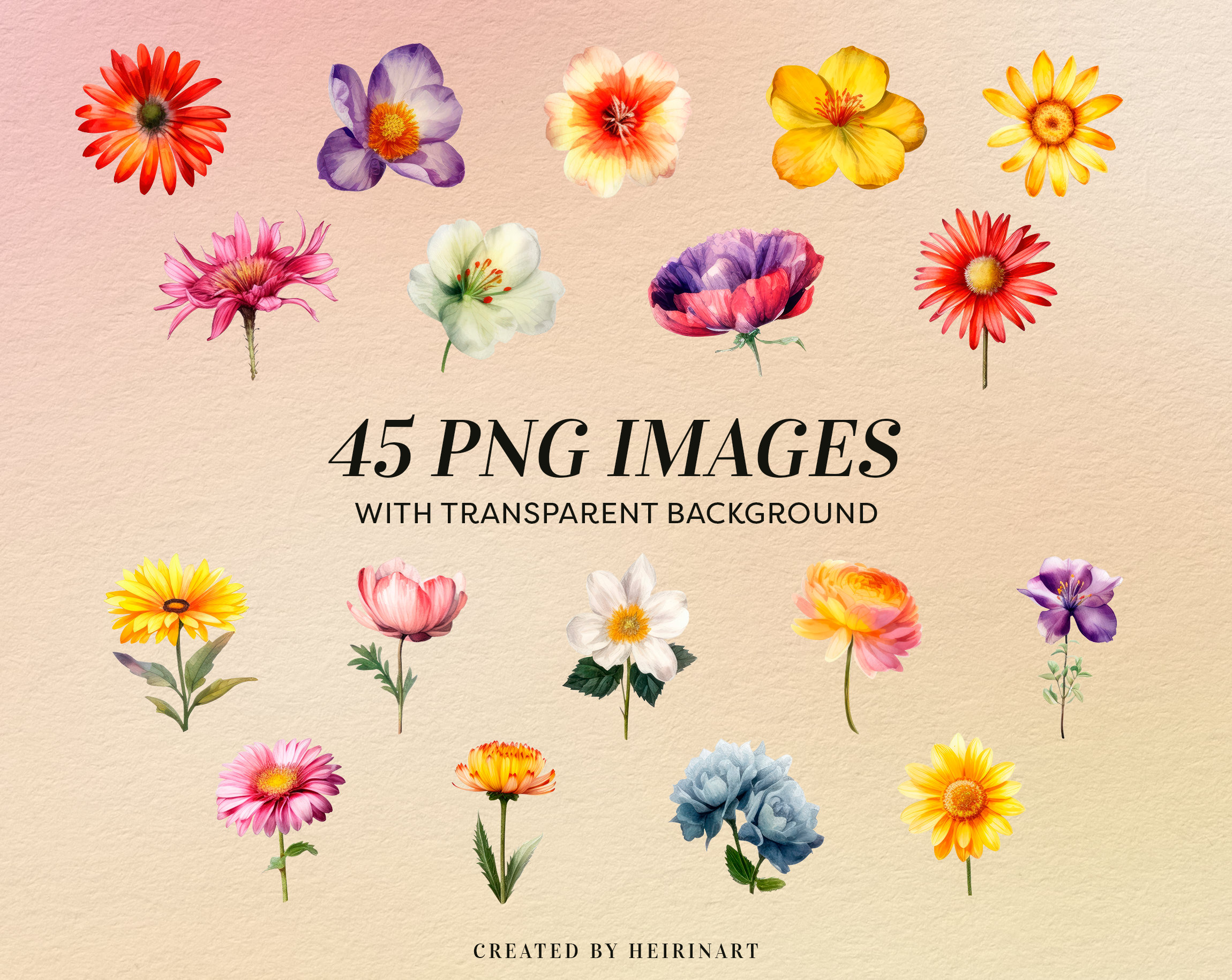 Watercolor Summer Flowers Clipart - Watercolor Flowers PNG - Commercial ...