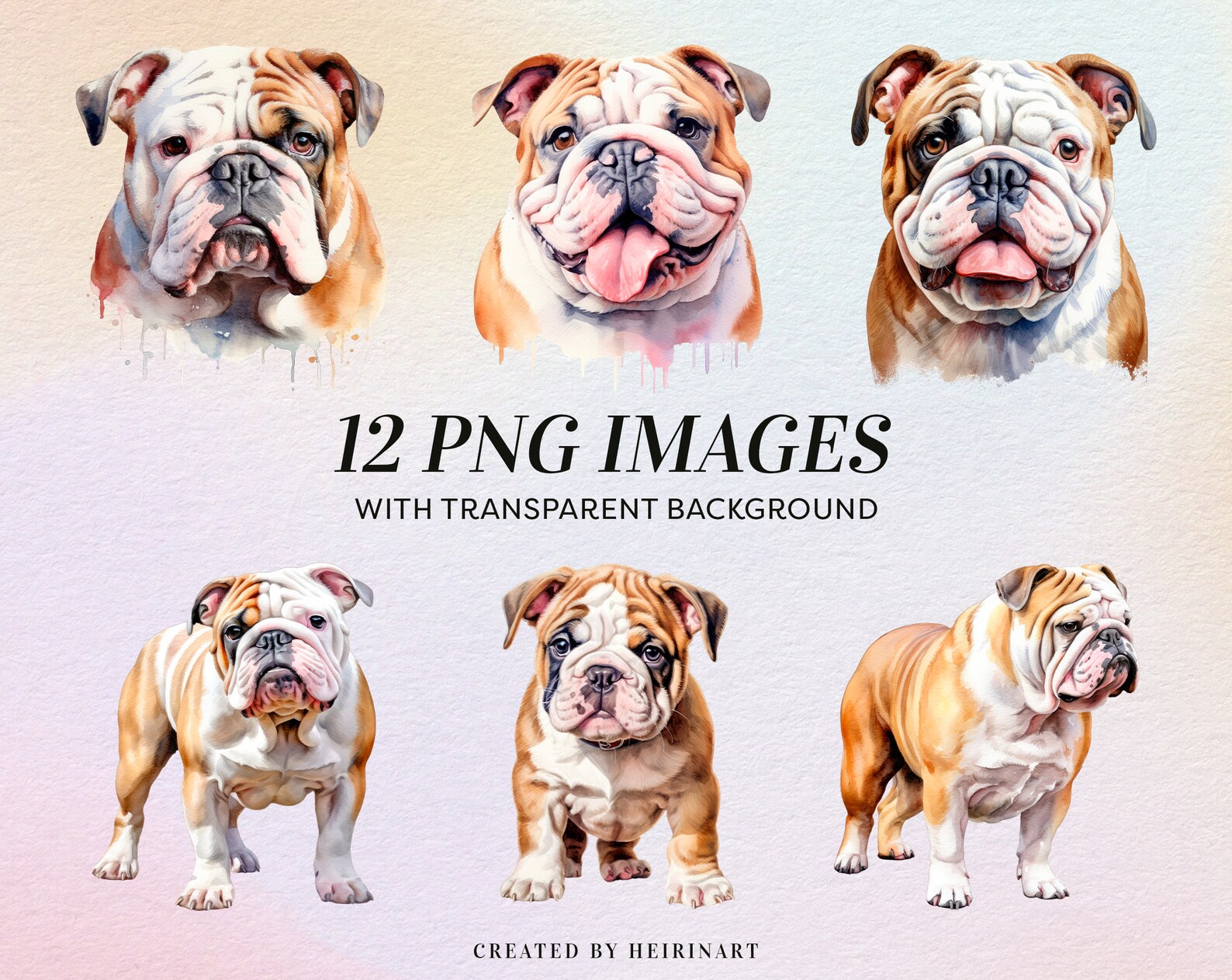 English Bulldog Clipart - British Bulldog - Commercial Use - Cute Dog ...