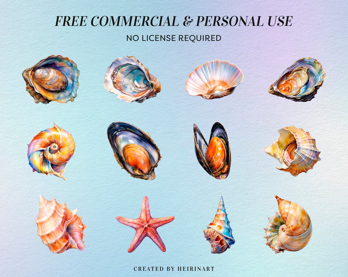 Watercolor Seashell Clipart Seashell PNG Commercial Use Summer Beach ...