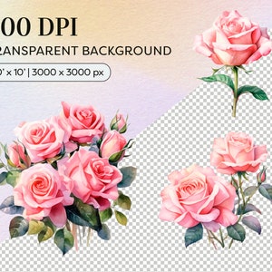 Watercolor Pink Rose Clipart - Watercolor Flowers PNG - Commercial Use ...