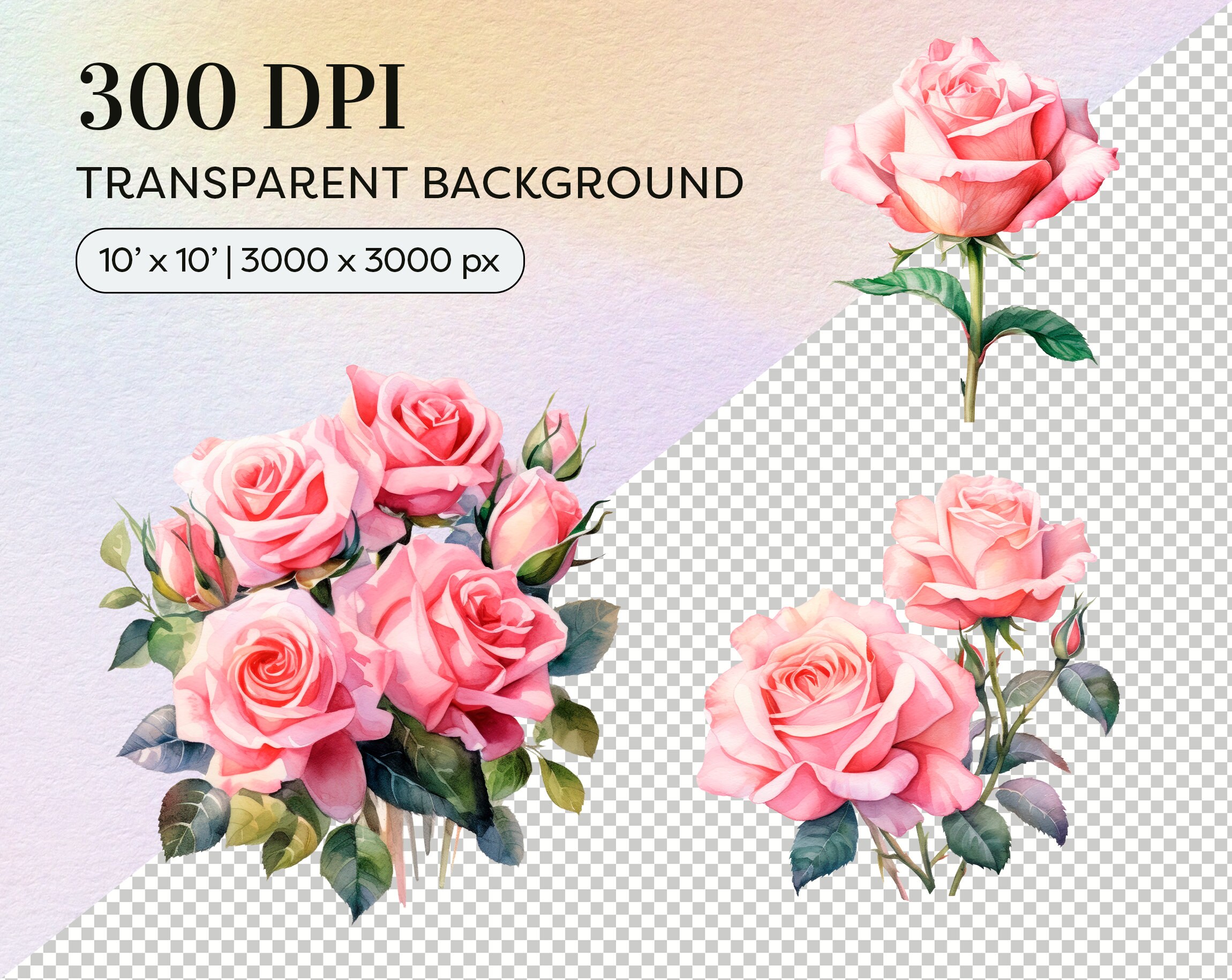 Watercolor Pink Rose Clipart - Watercolor Flowers PNG - Commercial Use ...