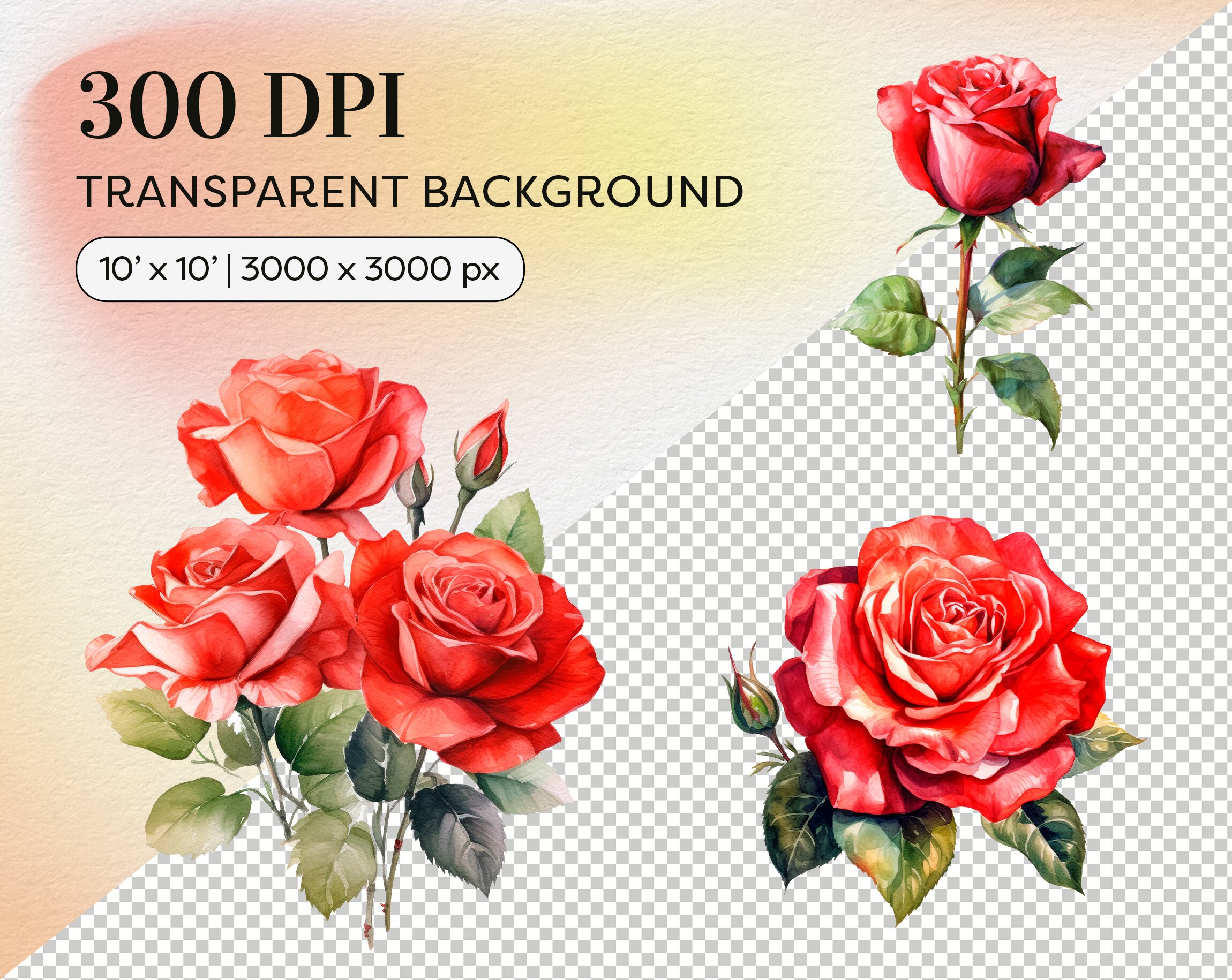 Watercolor Red Rose Clipart - Watercolor Flowers PNG - Commercial Use ...