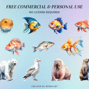 Aquatic Animals Clipart - Watercolor Sea Animals PNG - Commercial Use ...