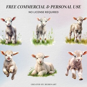 Watercolor Baby Lamb Clipart - Cute Lamb PNG - Commercial Use - Baby ...
