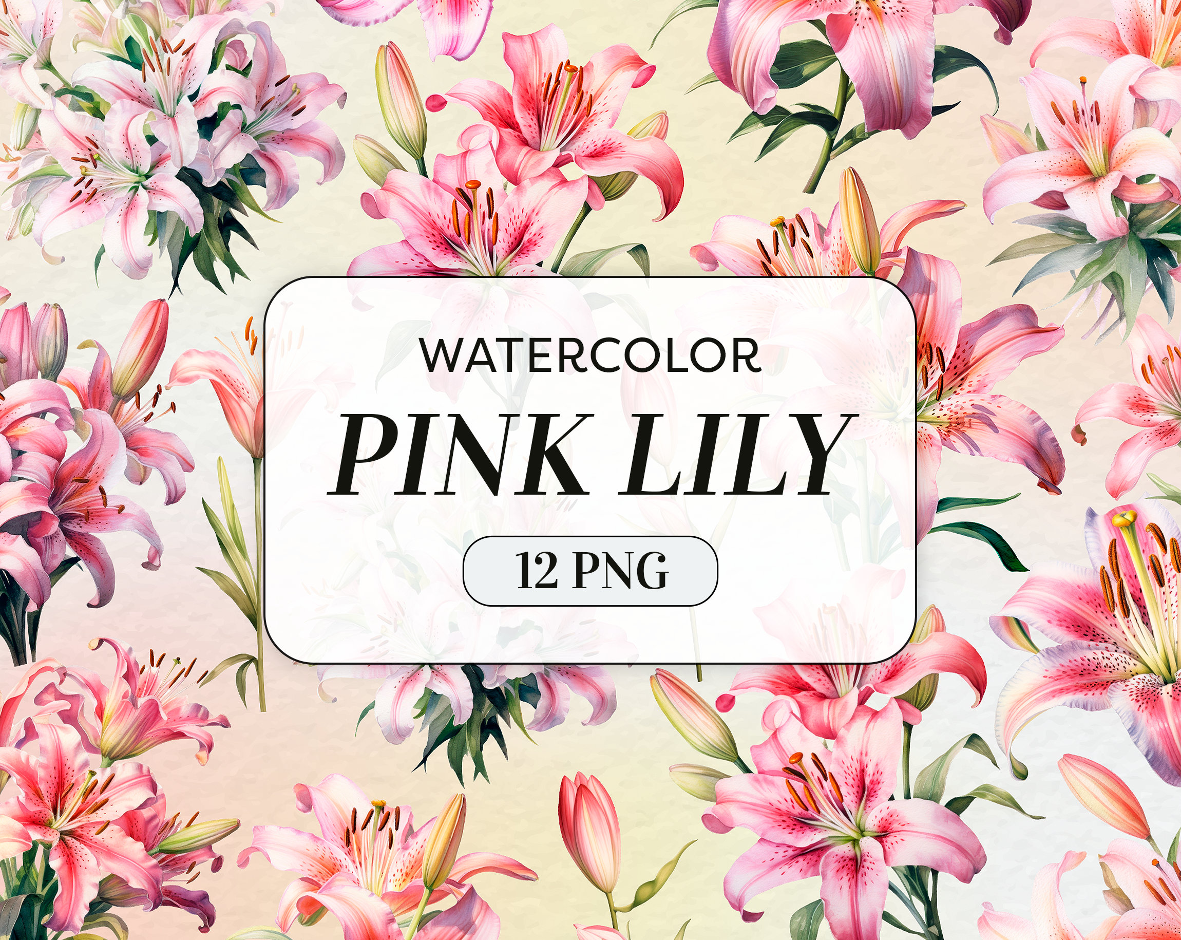 Watercolor Pink Lily Clipart - Watercolor Flowers PNG - Commercial Use ...