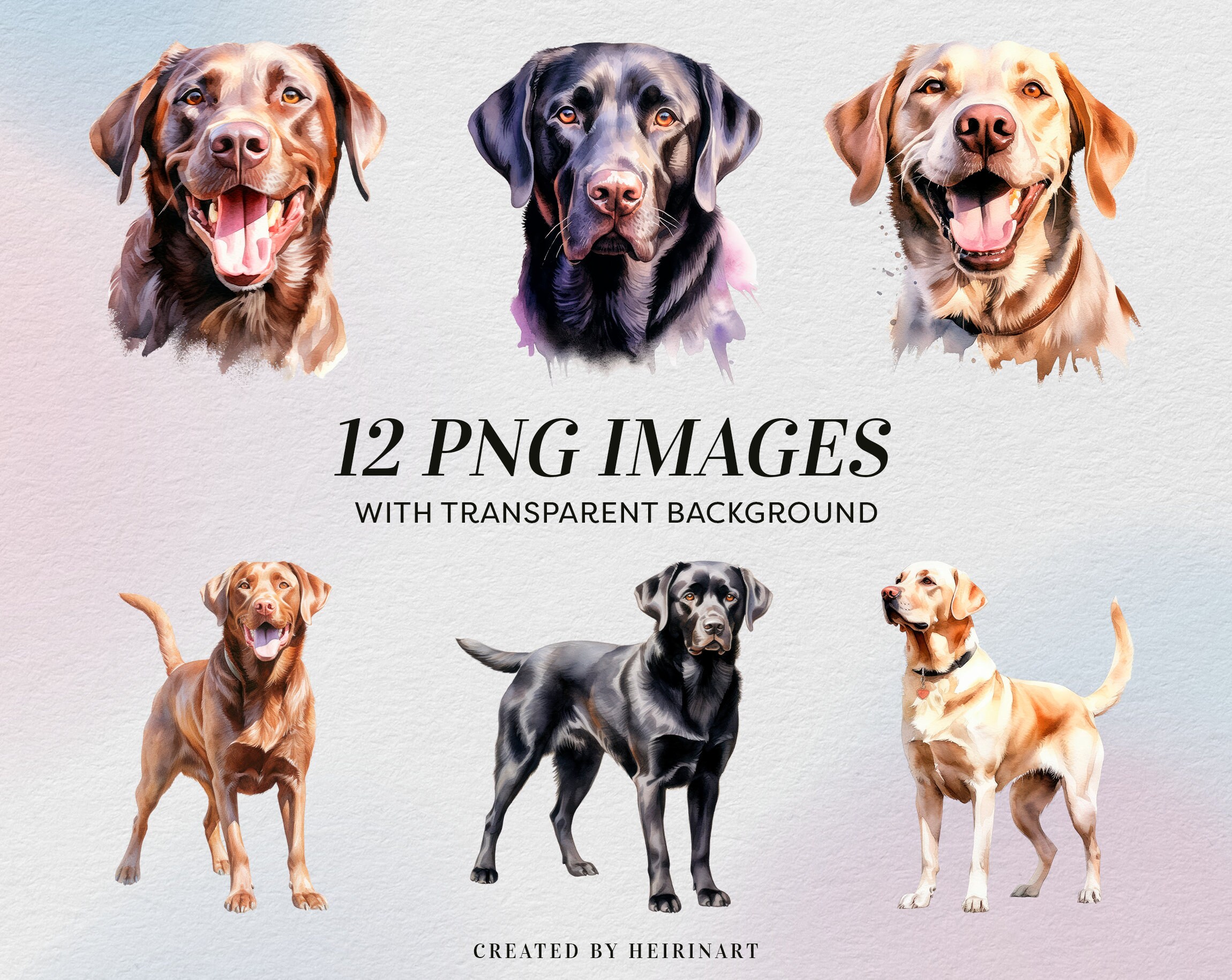 Labrador Retriever Clipart - Pet Dog Portrait - Commercial Use - Cute ...