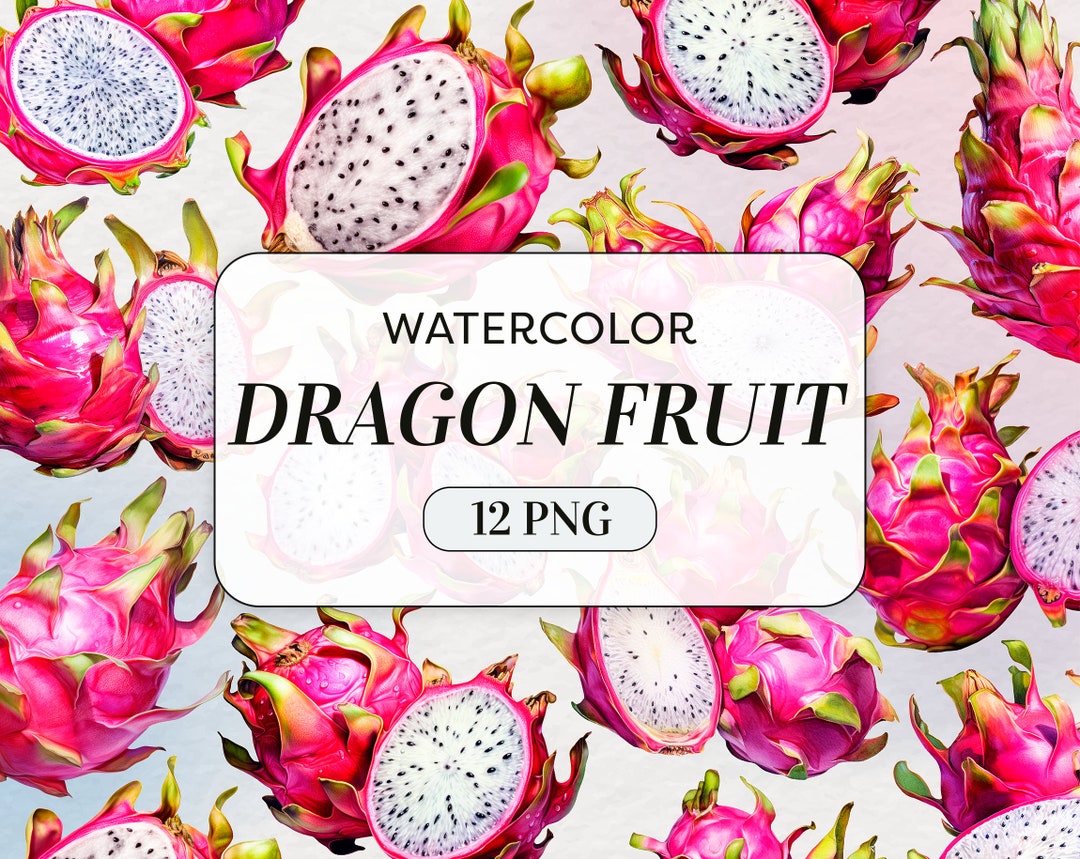 Watercolor Dragon Fruit Clipart - Watercolor Fruits PNG - Commercial ...