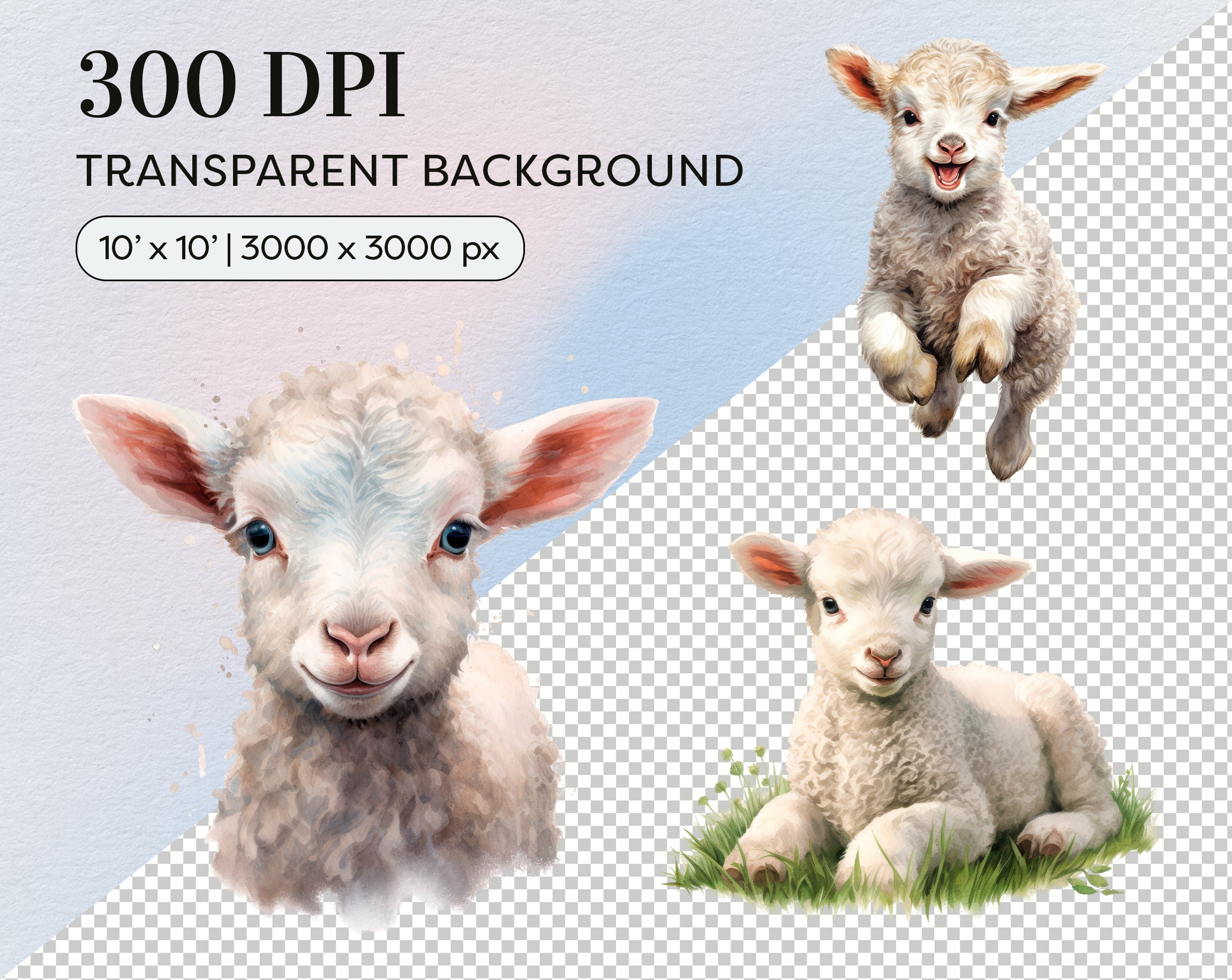Watercolor Baby Lamb Clipart - Cute Lamb PNG - Commercial Use - Baby ...