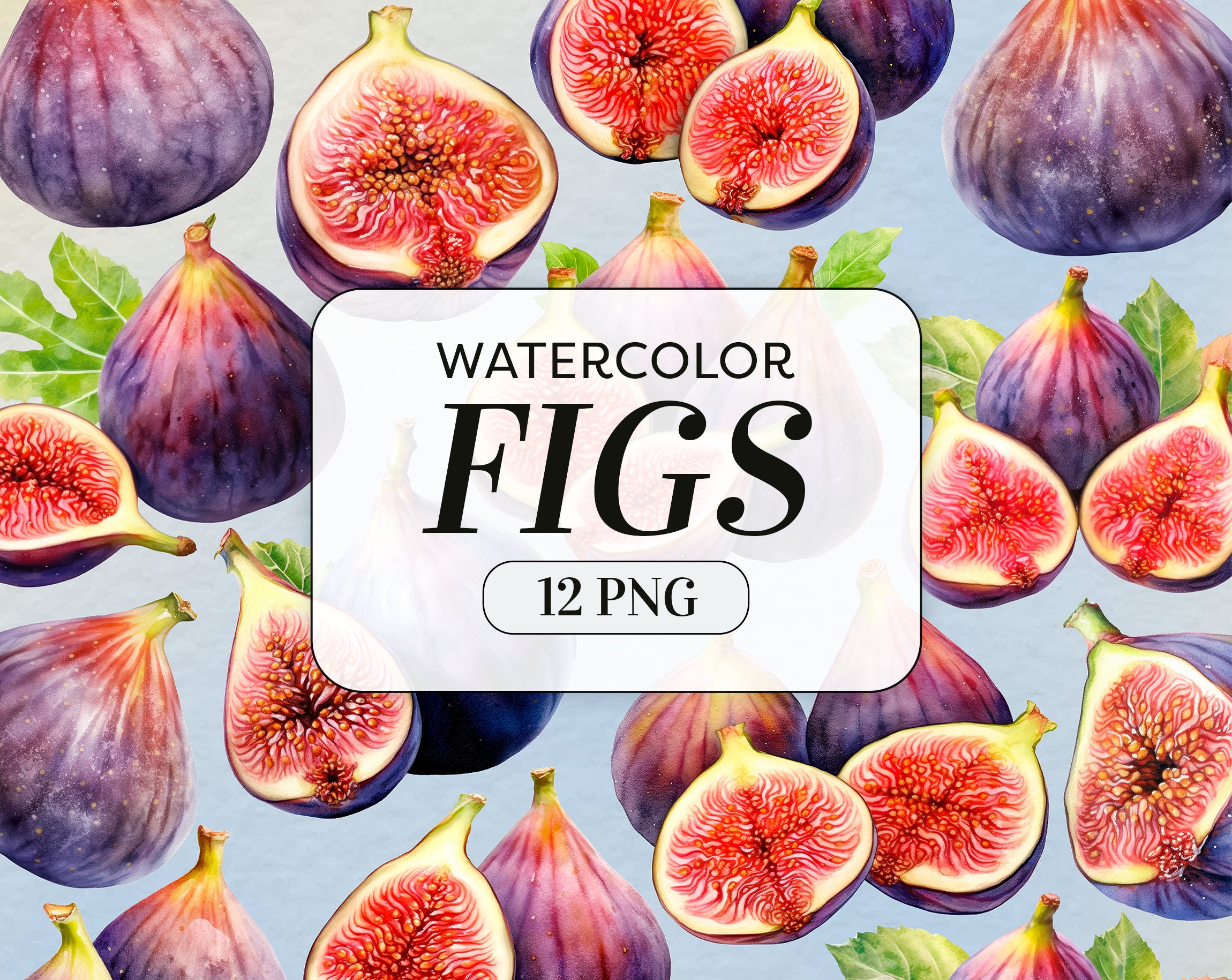 Watercolor Fig Clipart - Watercolor Fruits PNG - Commercial Use - Figs ...