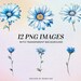 Watercolor Blue Daisy Clipart - Watercolor Flowers PNG - Commercial Use ...