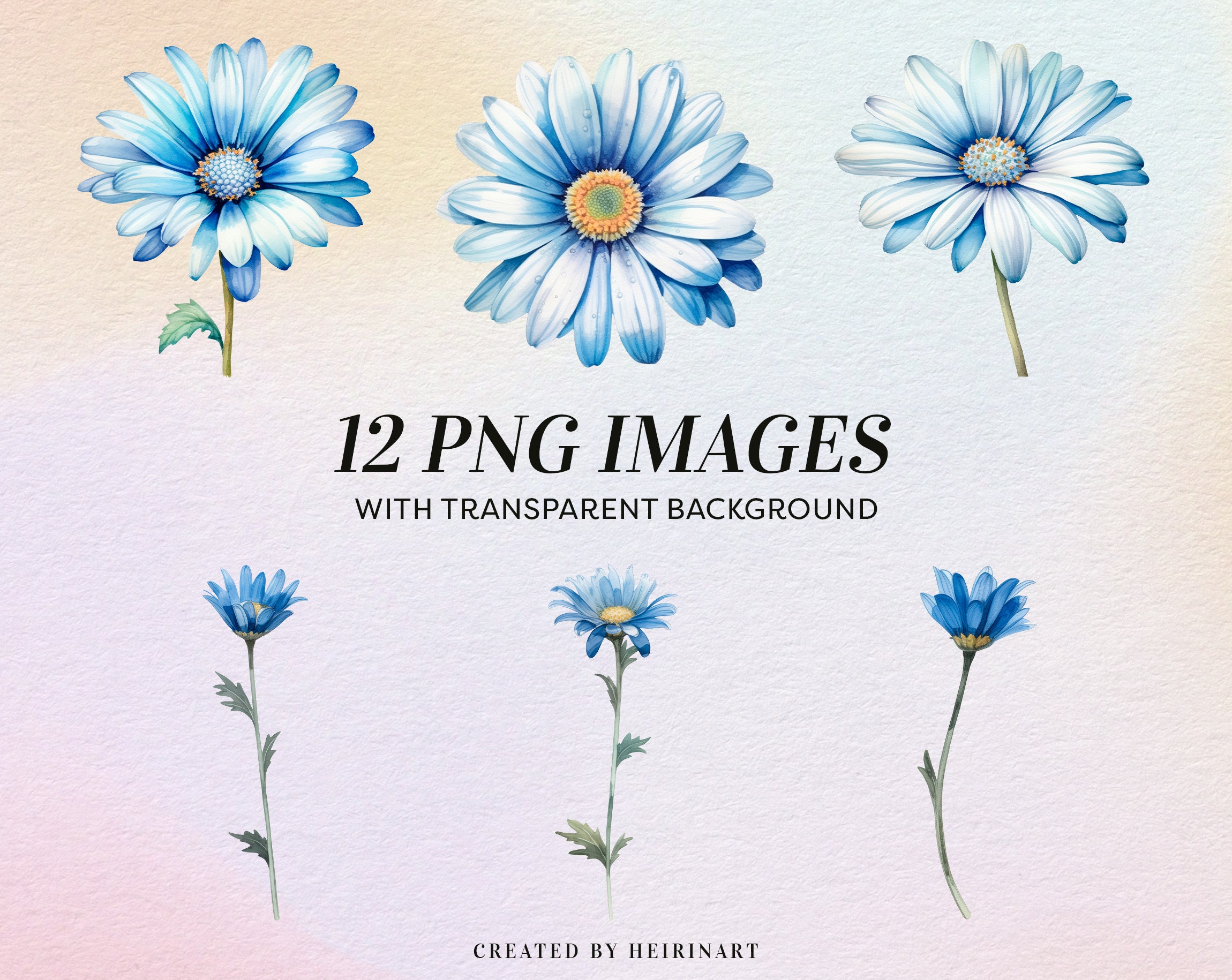 Watercolor Blue Daisy Clipart - Watercolor Flowers PNG - Commercial Use ...