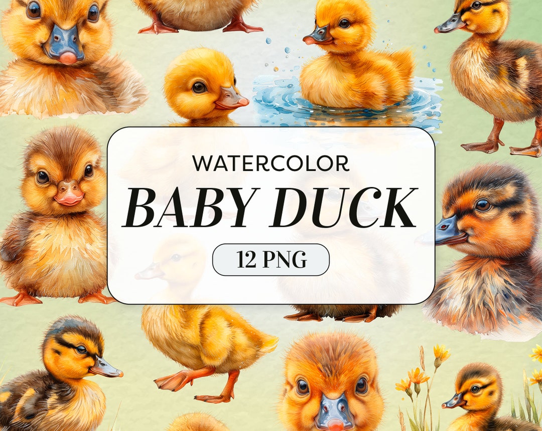 Watercolor Baby Duck Clipart - Cute Duck PNG - Commercial Use - Baby ...