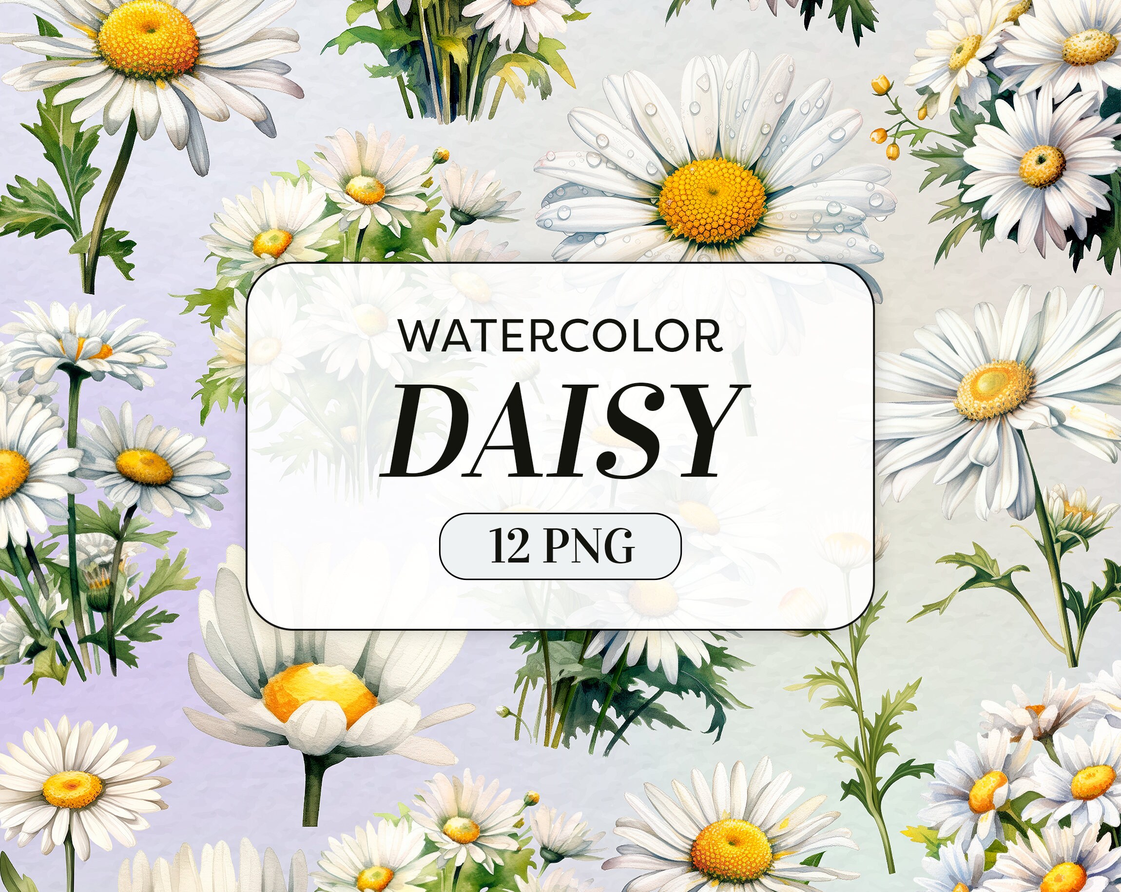 Watercolor Daisy Flower Clipart - Watercolor Flowers PNG - Commercial ...