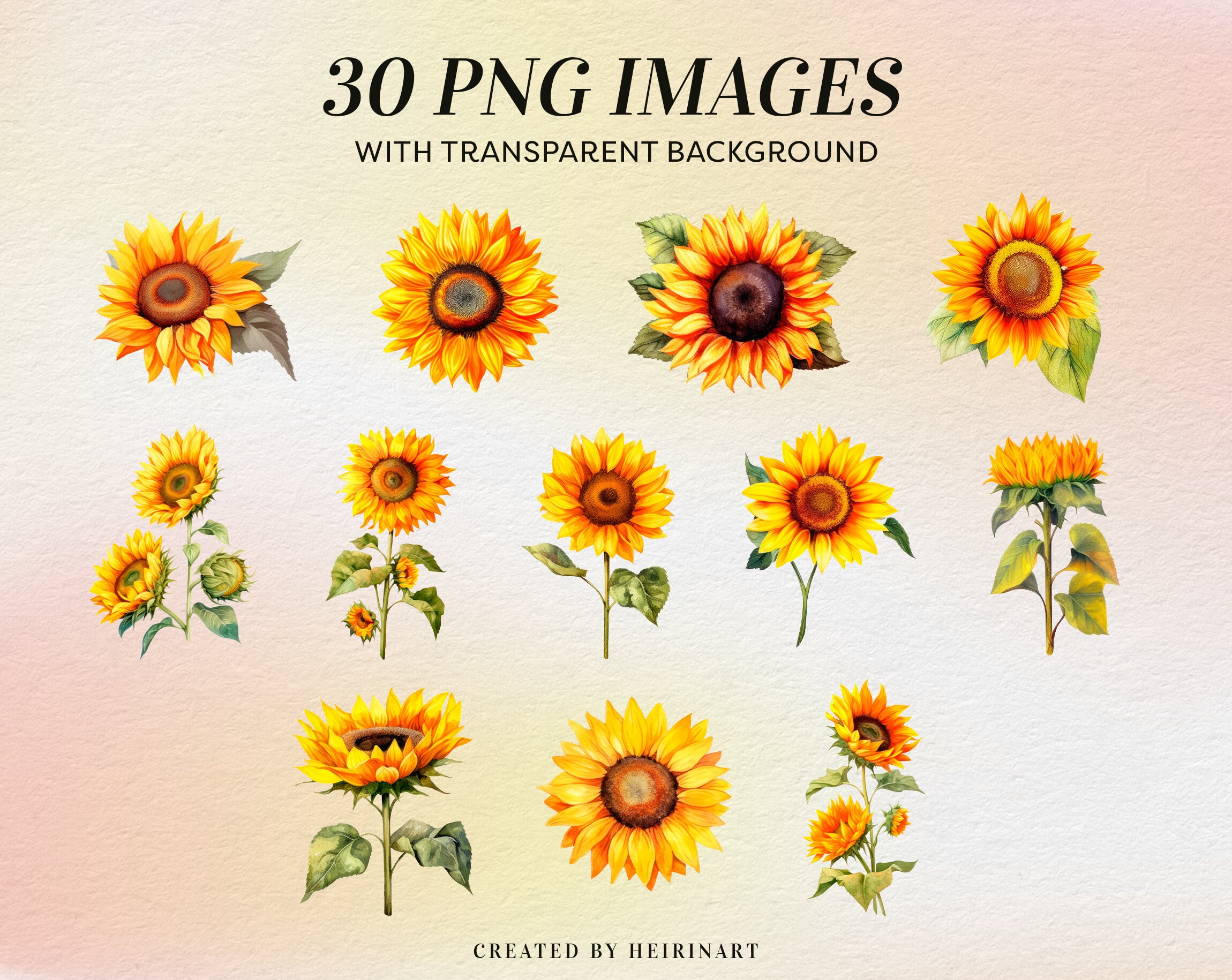 Watercolor Sunflowers Clipart Watercolor Sunflower PNG Commercial Use ...