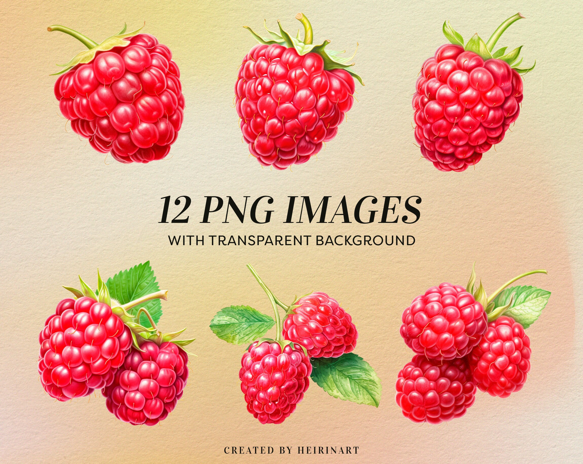 Watercolor Raspberry Clipart Watercolor Fruits PNG Commercial Use ...