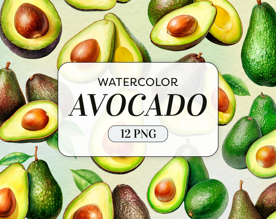 Watercolor Avocado Clipart Watercolor Fruits PNG Commercial Use Avocado ...