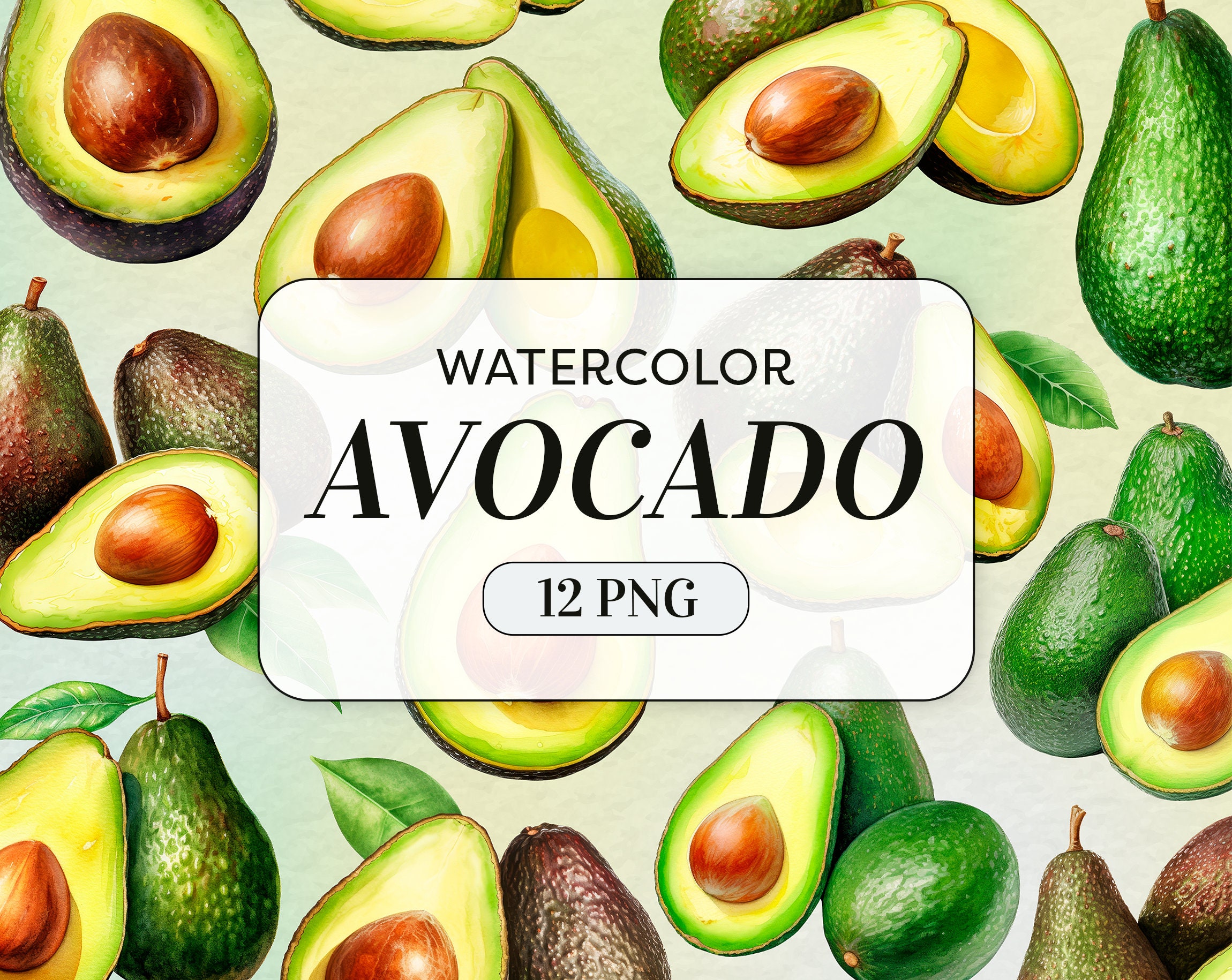 Watercolor Avocado Clipart Watercolor Fruits PNG Commercial Use Avocado ...