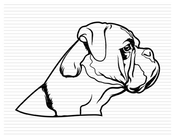 Boxer Dog Face Outline