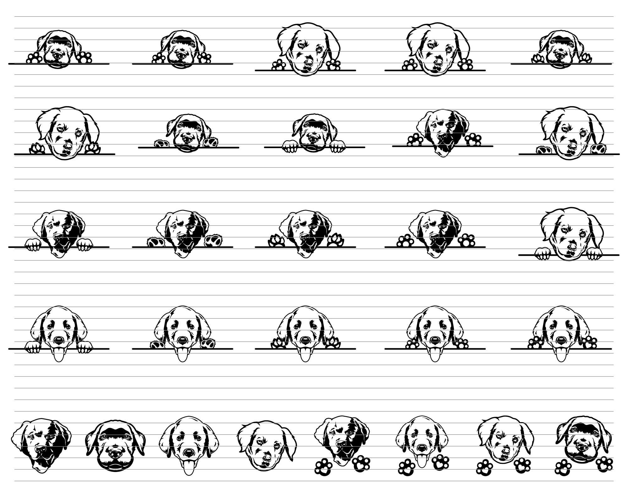 LABRADOR SVG BUNDLE, Labrador Retriever, Labrador Peeking, Labrador ...