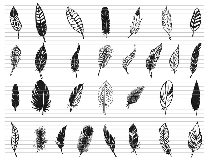 Feather Svg Feather Bundle Feather Cut Svg Feather Cut File Bird ...