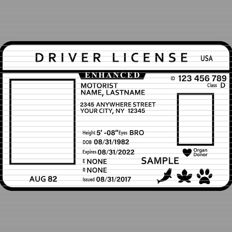 Iobit Driver Booster Pro 13.0.0.143 License Key - Etsy Canada