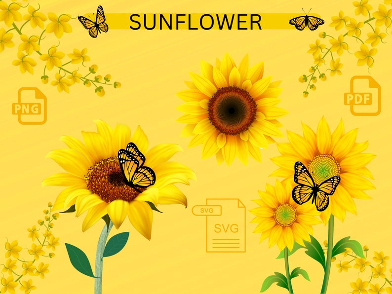 Sunflower Svg Bundle Floral Svg Bundle Floral Clipart Sunflower Png Floral Png Commercial