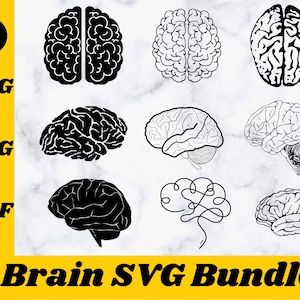 Brain Svg Files for Cricut, Brain Svg Bundle, Brain Clipart, Brain Png ...