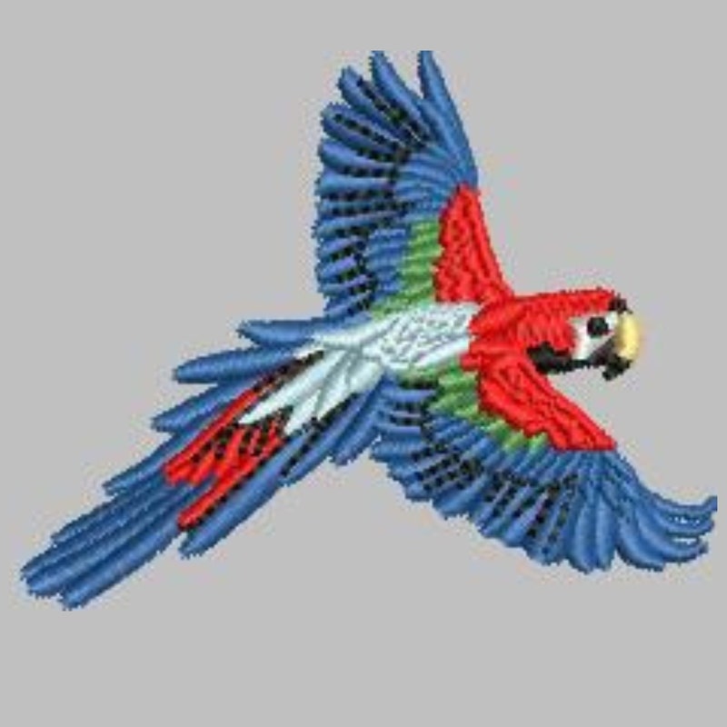 Parrot Embroidery - Etsy