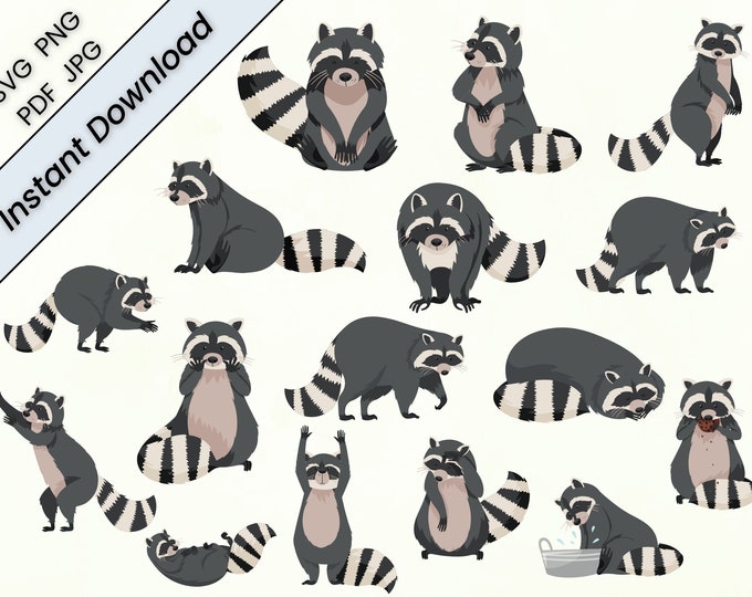 Raccoon Svg Bundle Raccoon Png Bundle Raccoon Cut File - Etsy Canada