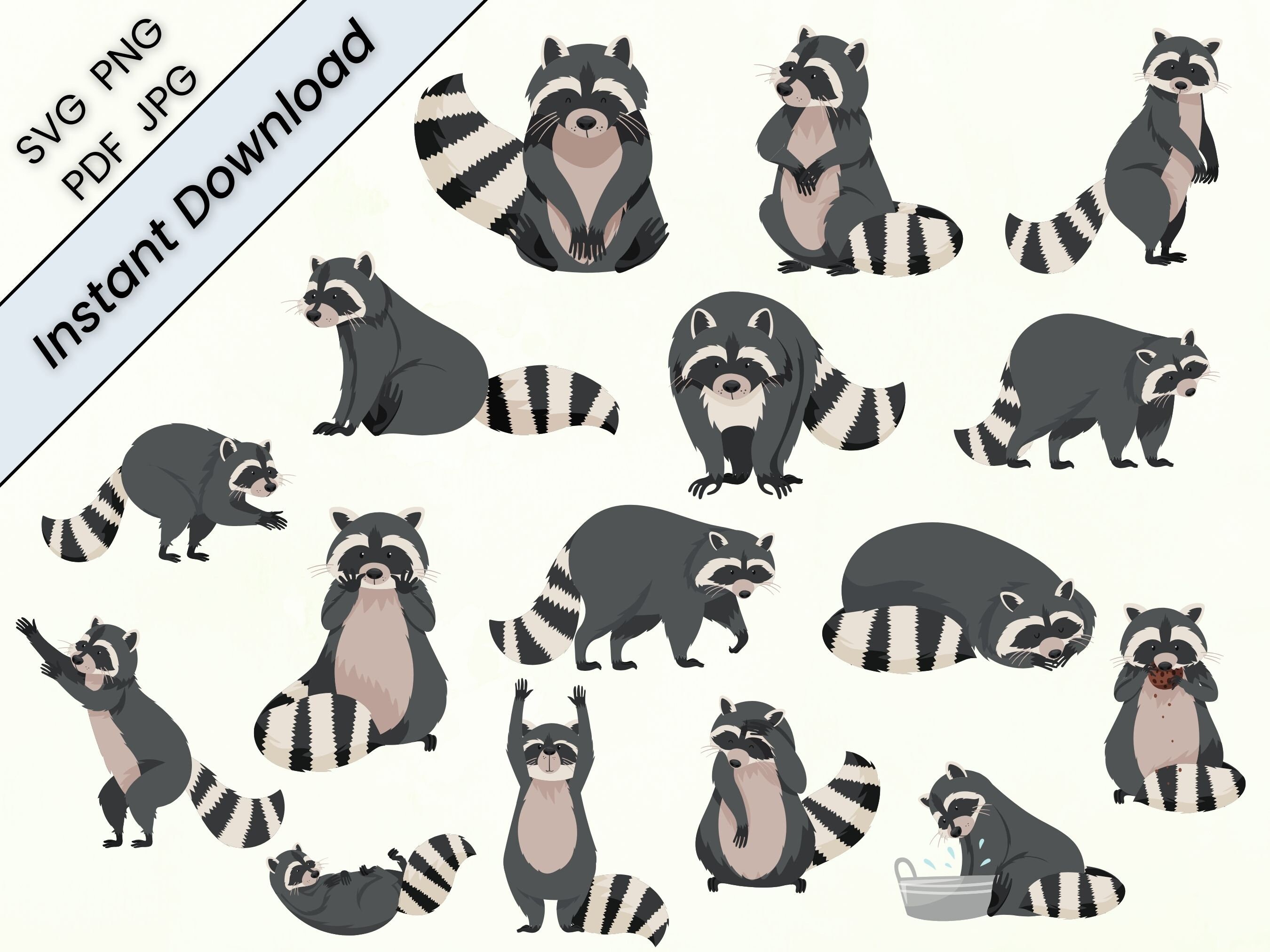 Raccoon SVG, Raccoon Clipart, Raccoon Cut Files, Raccoon Silhouette ...
