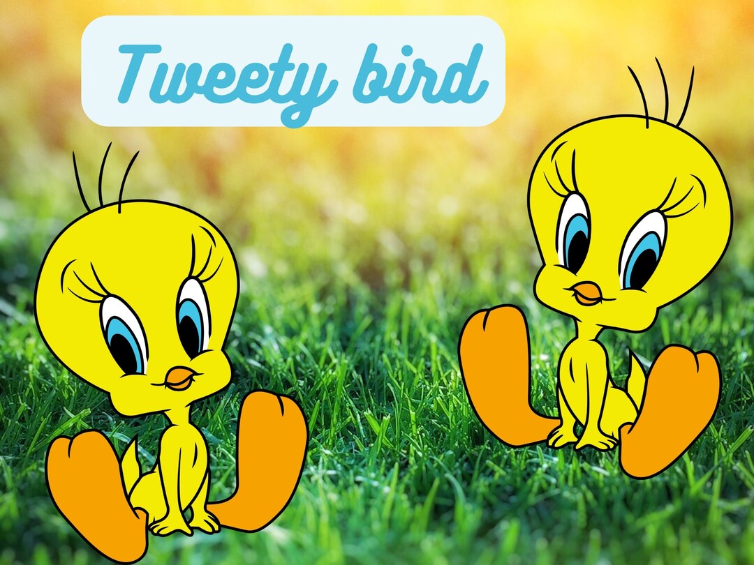 TWEETY Bird Svg Cartoon Clipart, Image Files, SVG Shirts, Cartoon ...