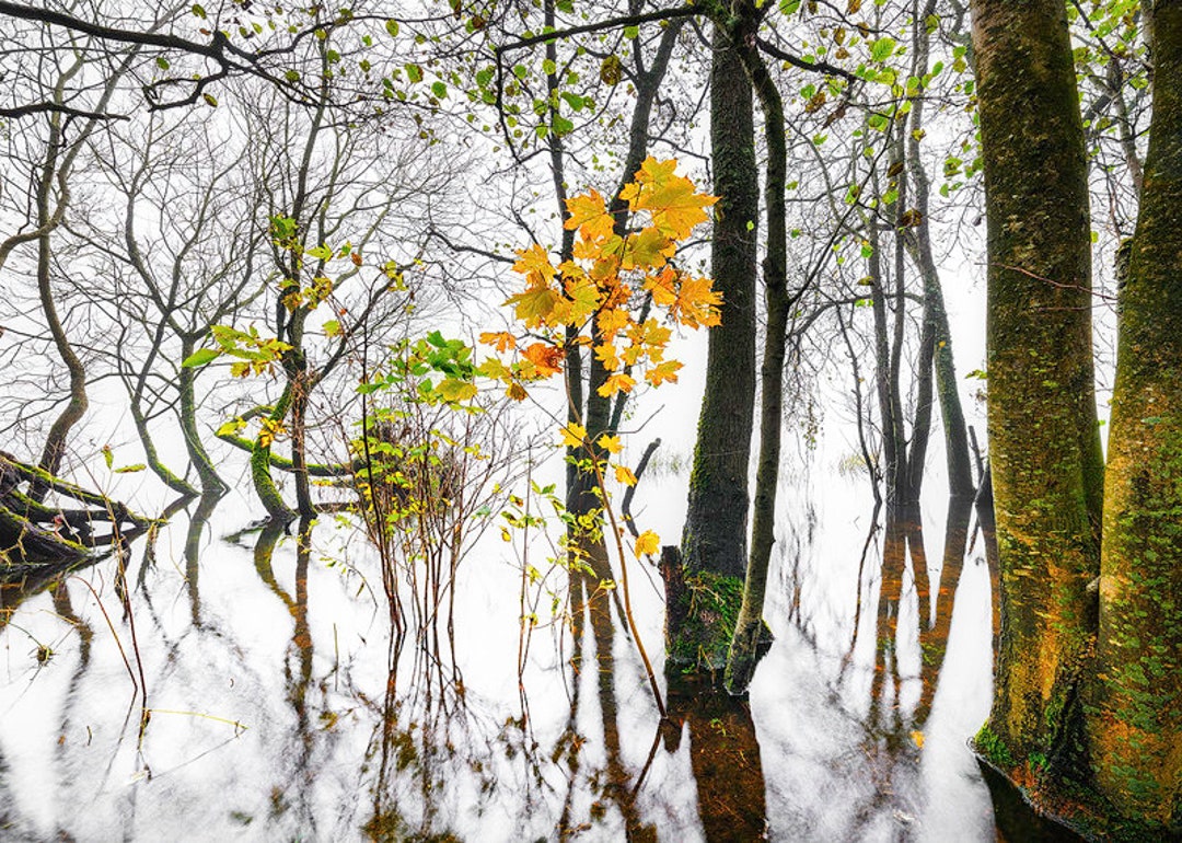 Lough Neagh Reflection Print: Irish Landscape Photography, Northern ...