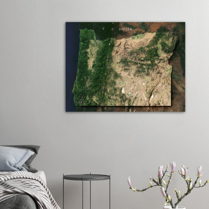Oregon Satellite Imagery US Map Poster - Etsy