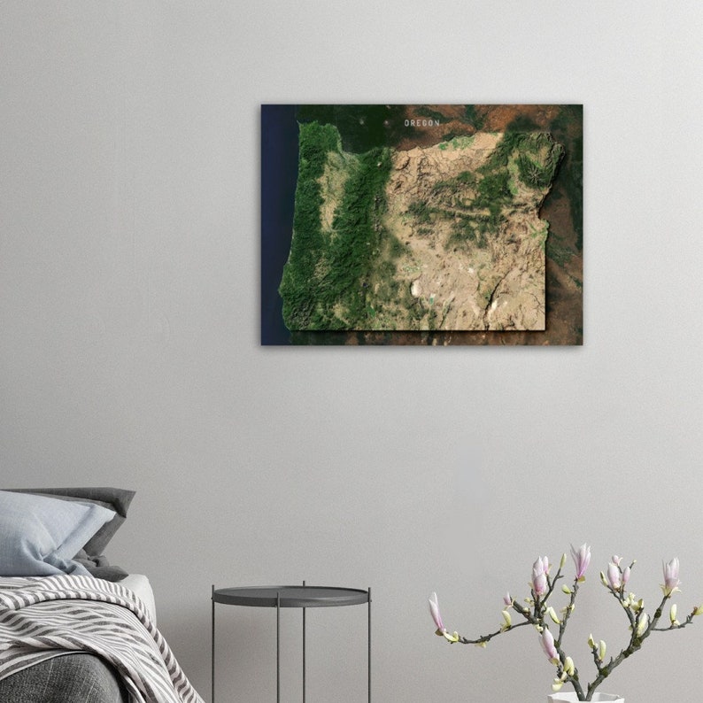 Oregon Satellite Imagery US Map Poster - Etsy