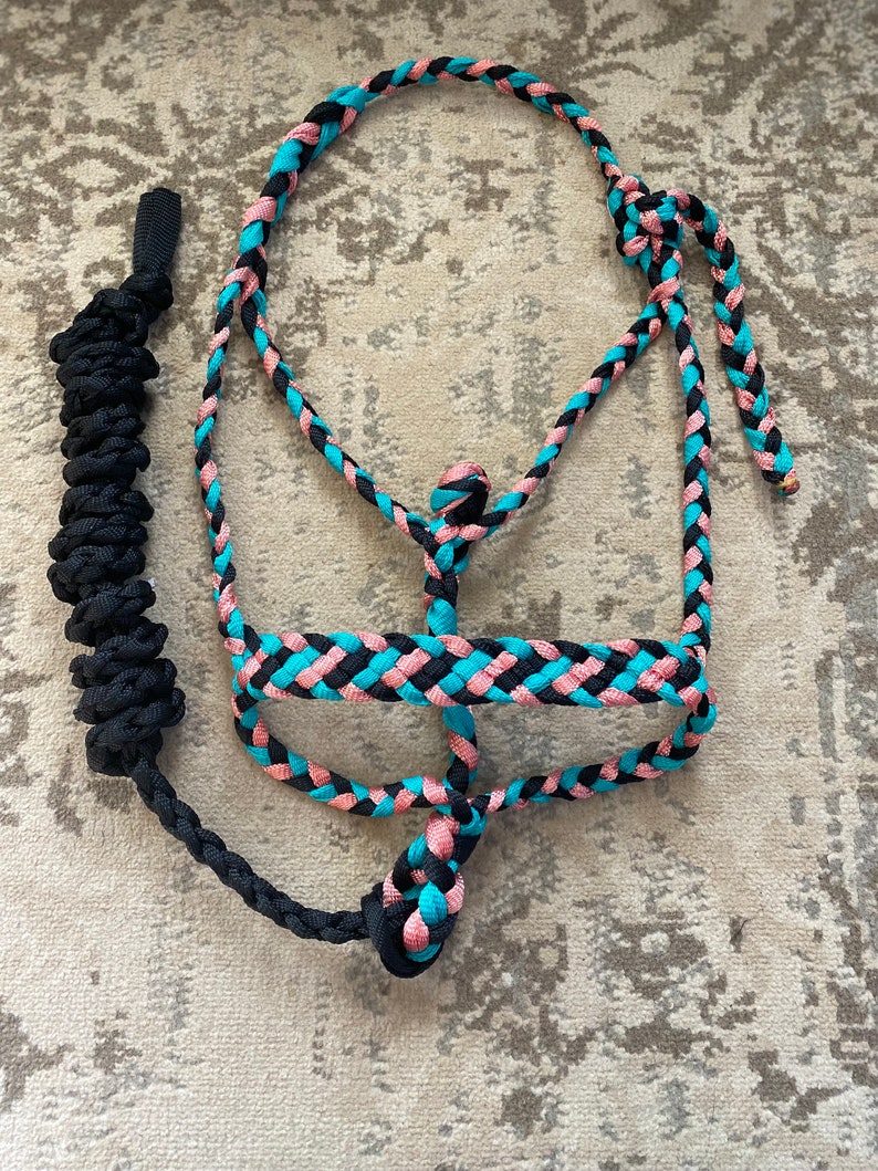 Turquoise/pink/black Mule Tape Halter - Etsy