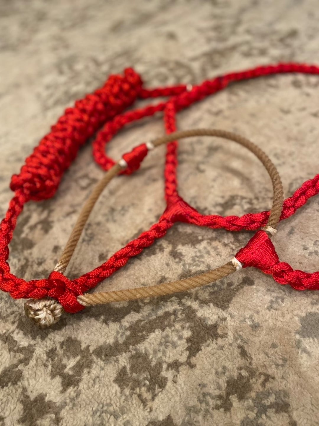 Custom Lariat Noseband Halter - Etsy