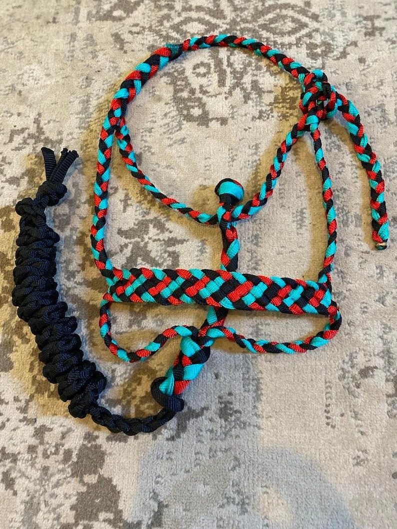 Turquoise/black/red Mule Tape Halter - Etsy