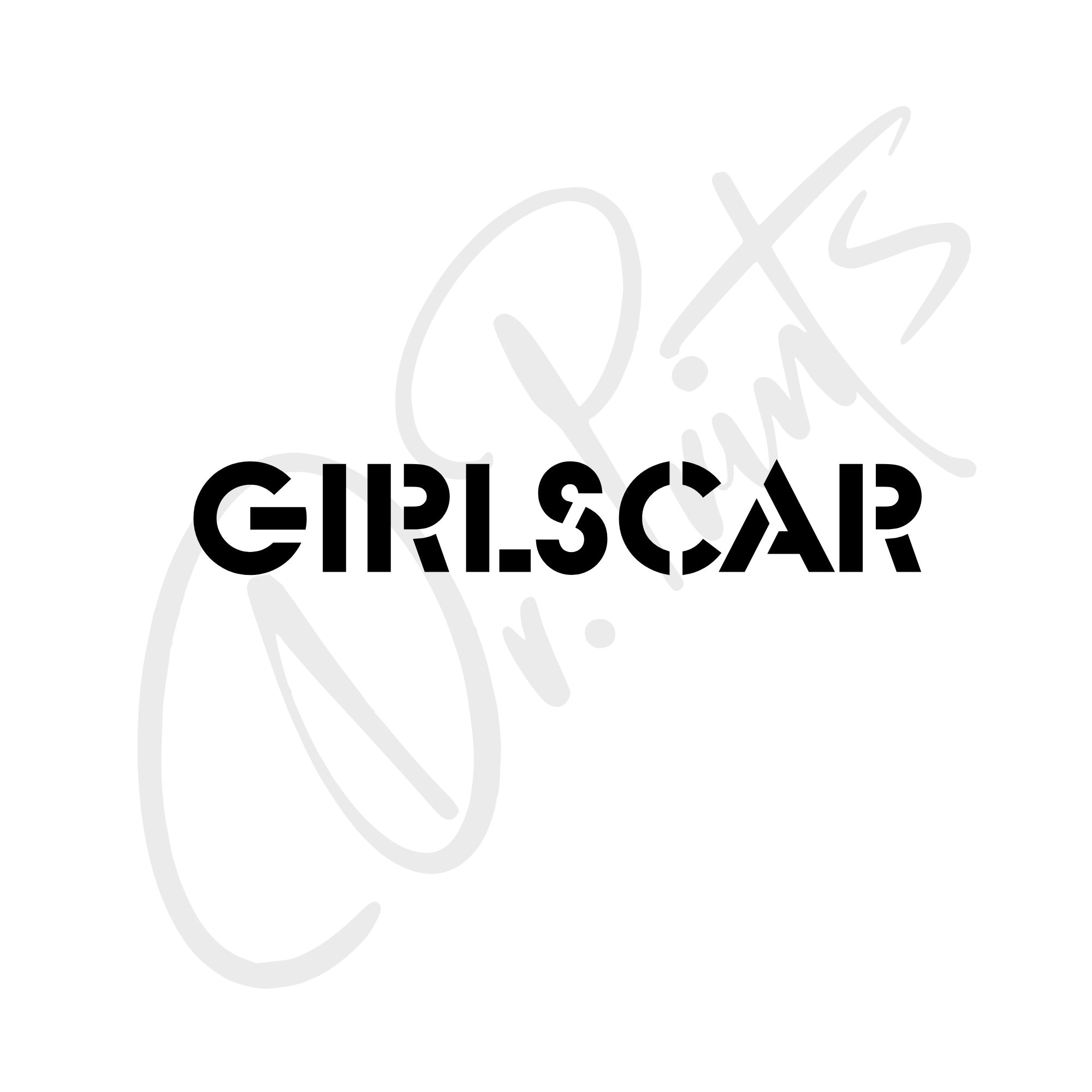 Girls Car Decal Girls Car Sticker Girl Driver Decal Windscreen Decal ...
