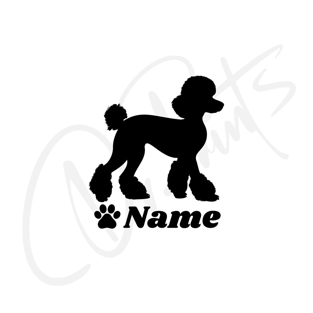 Poodle Car Sticker Poodle in Car Sticker Poodle Decal Cute Poodle With ...